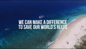 Save CORAL Reefs | Save Ecosystem - Century Media360