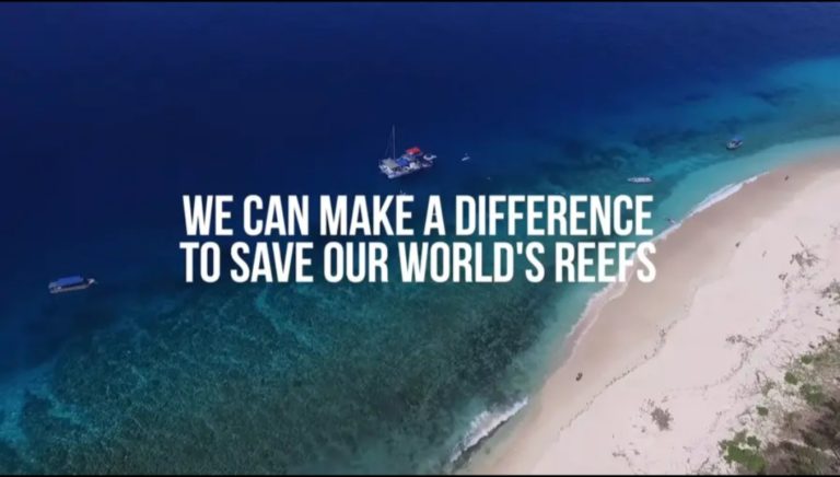 Save Coral Reefs Save Ecosystem Century Media360